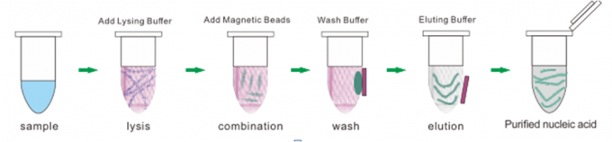 FDA Approved Nucleic Acid Extraction Kit